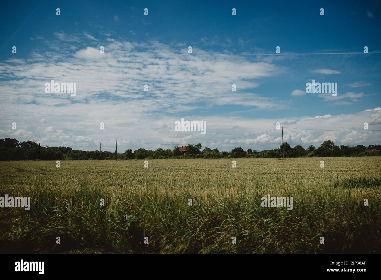 A scenic landscape of a field during daytime Stock Photo - Alamy