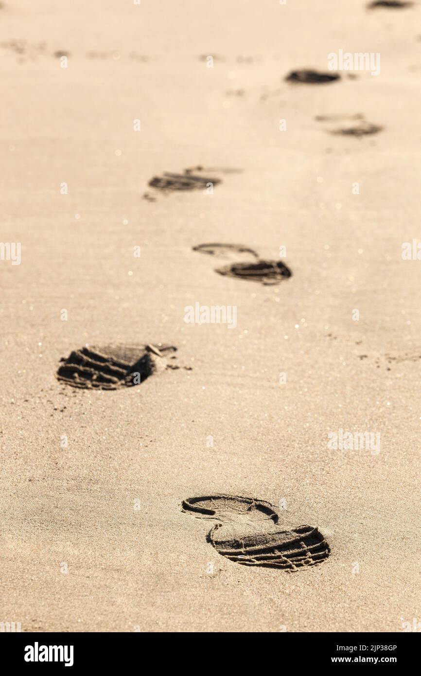 beach, footprints, sandy, beaches, seaside, footprint, handprints ...