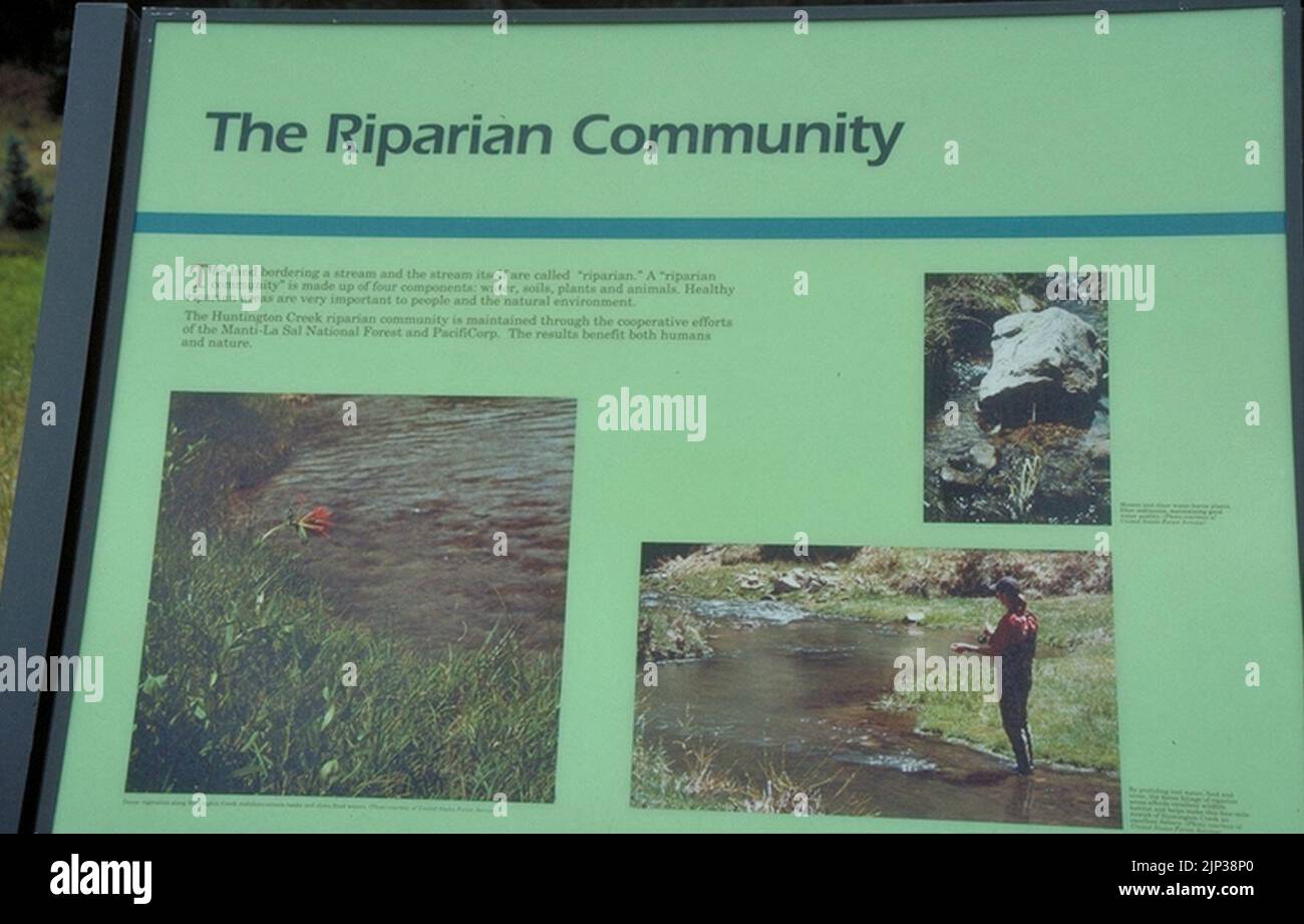 The Energy Loop- Huntington-Eccles Canyons Scenic Byway - The Riparian ...