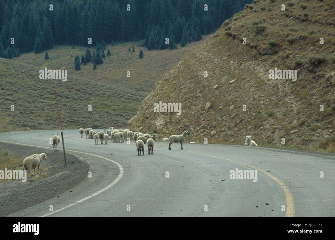 The Energy Loop- Huntington-Eccles Canyons Scenic Byway - Watch Out for ...