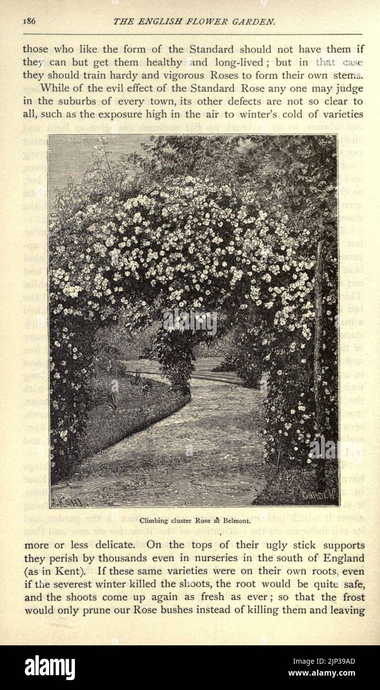 The English flower garden and home grounds (Page 186 Stock Photo - Alamy