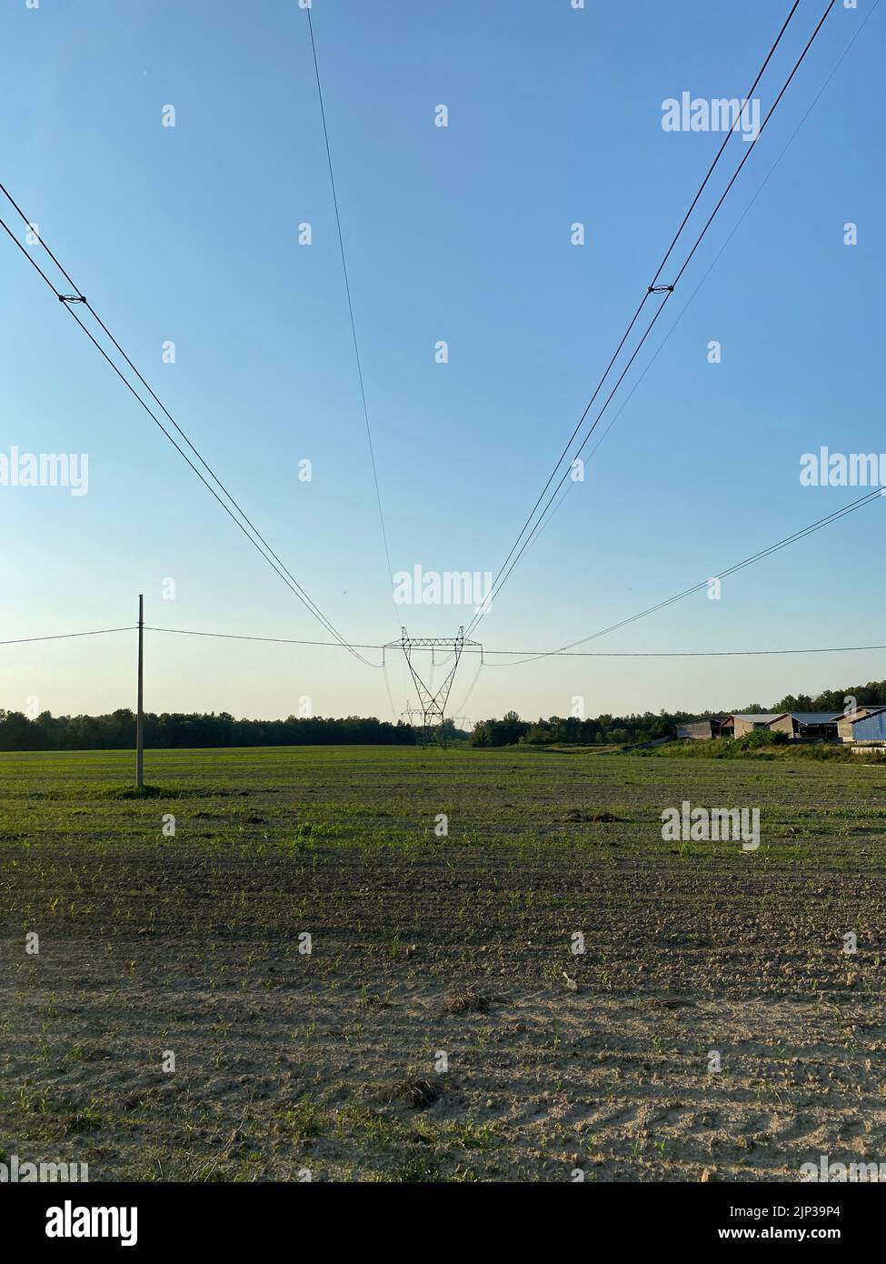 A vertical shot of a green field with grass in a rural area with ...