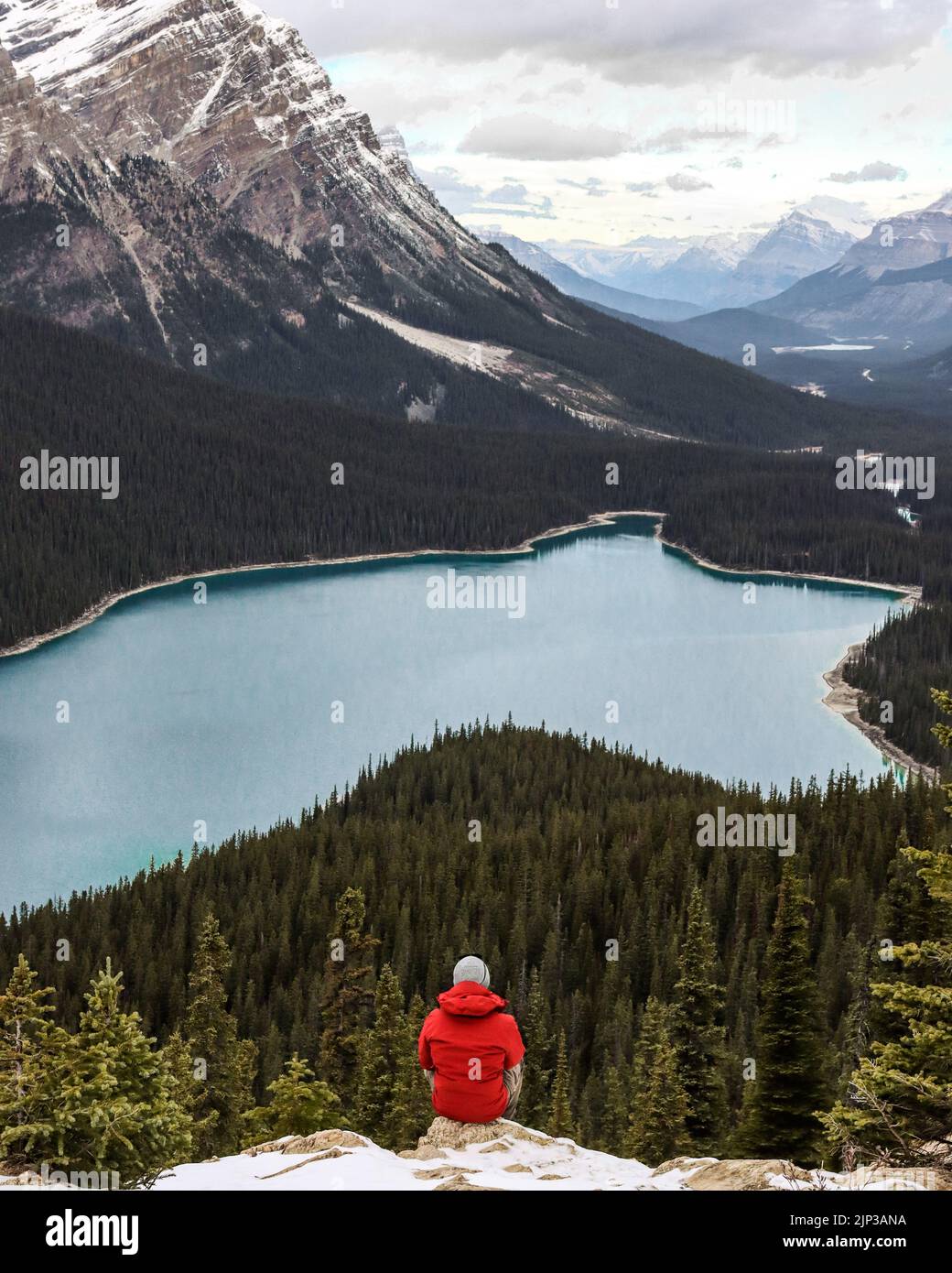 A vertical shot of a hiker overlooking Peyto Lake in Banff National ...