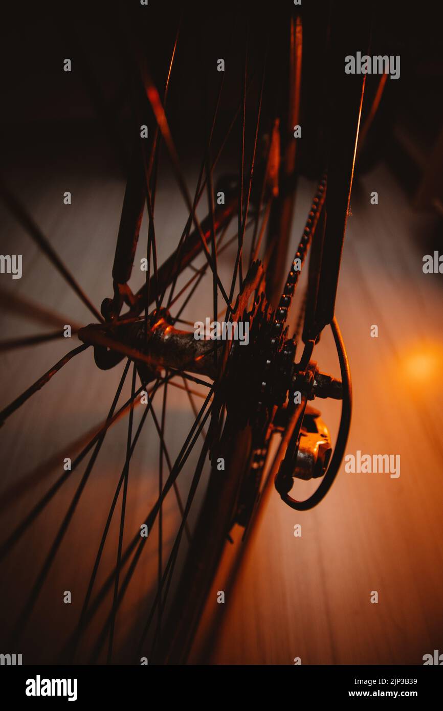 A vertical shot of the details of a bicycle wheel on a blurry ...