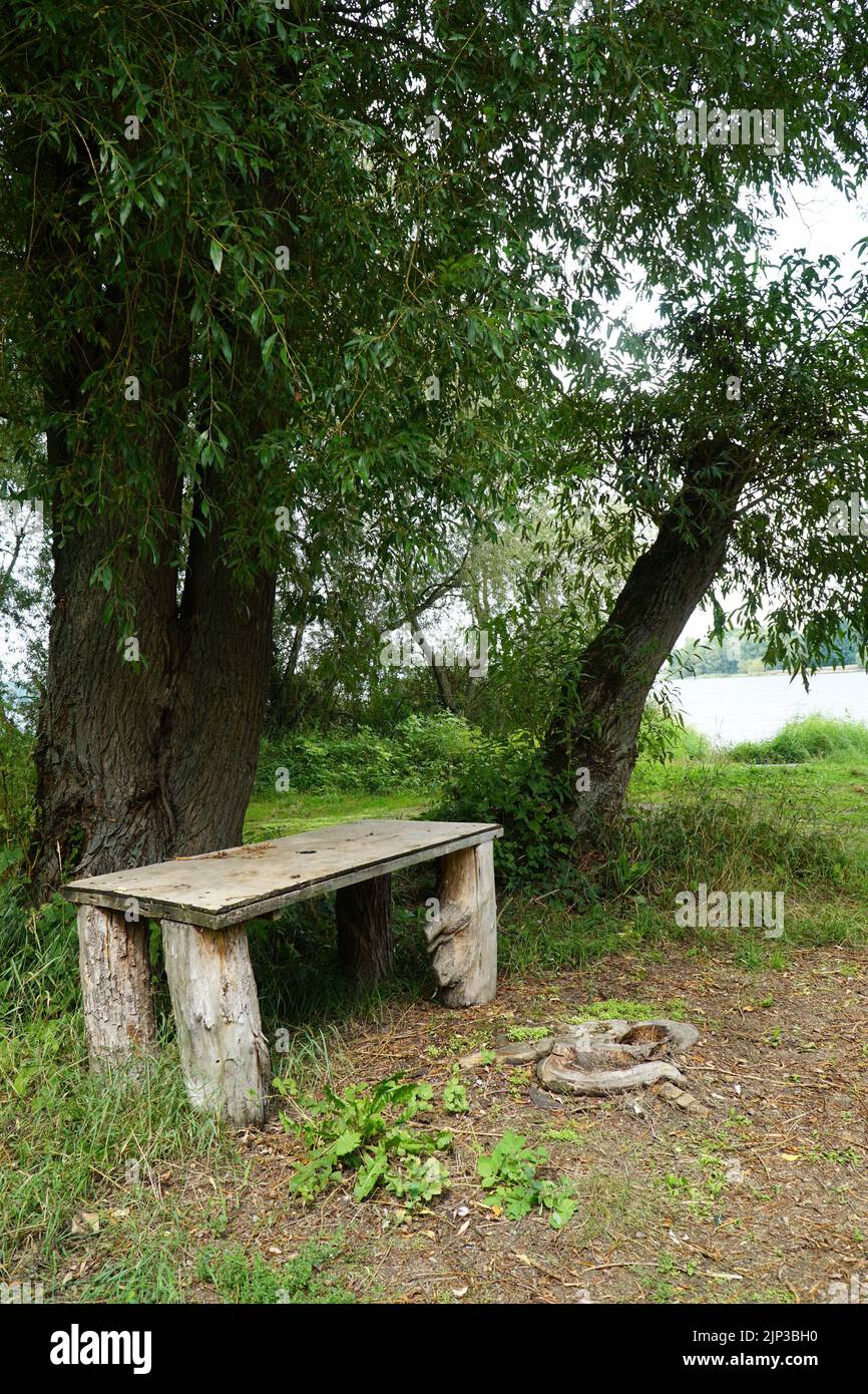 simple bench under a tree Stock Photo - Alamy