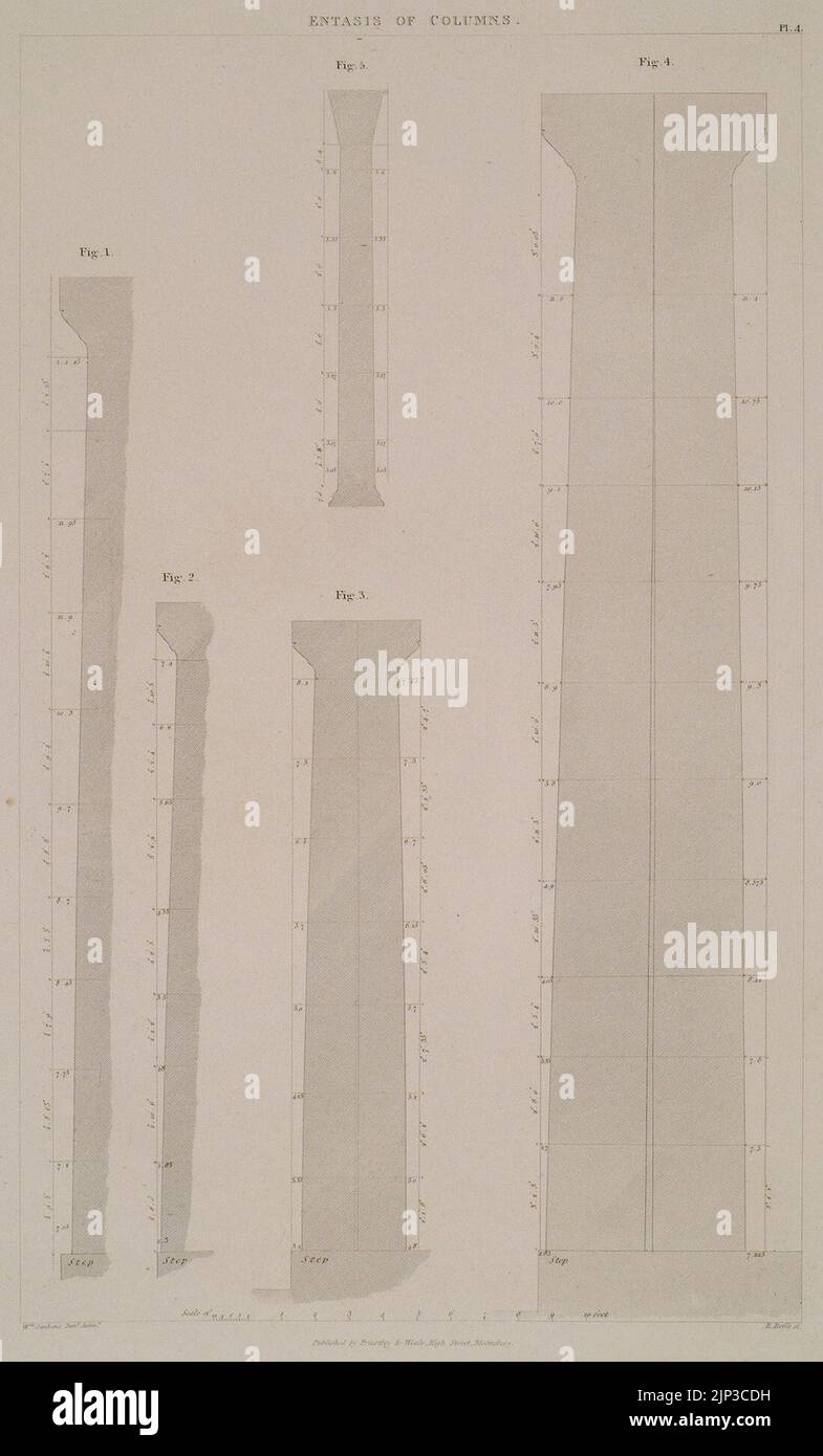 The entasis of various columns Fig 1 Entasis of the columns of the ...