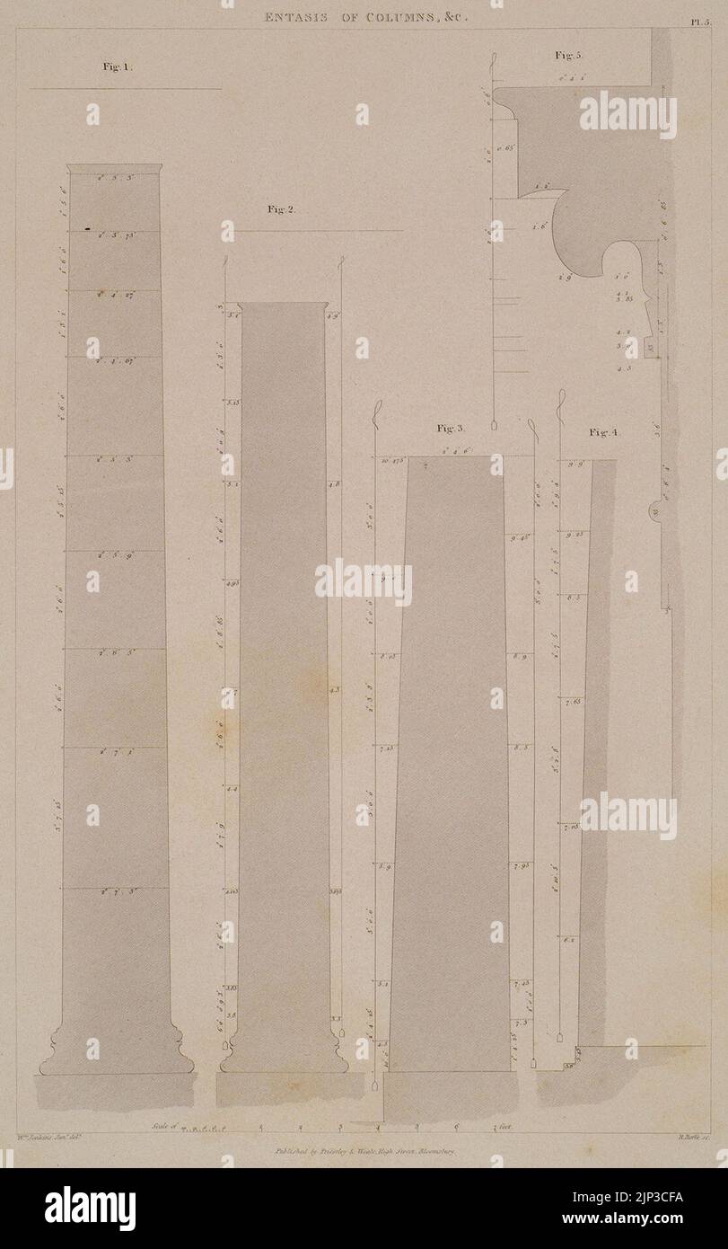 The entasis of various columns Fig 1 Entasis of the columns of the ...