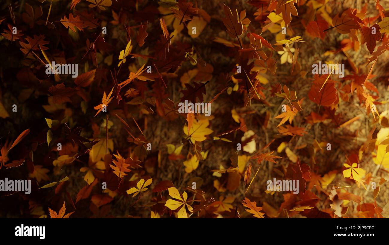 3D rendering. Beautiful background with a sunlight shining on autumn ...