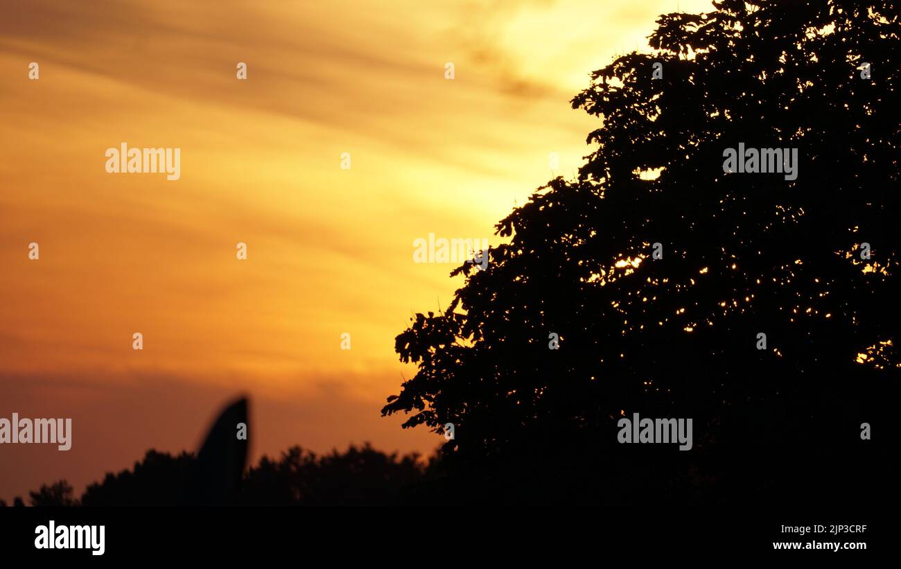 Golden sunset sky trees hi-res stock photography and images - Alamy