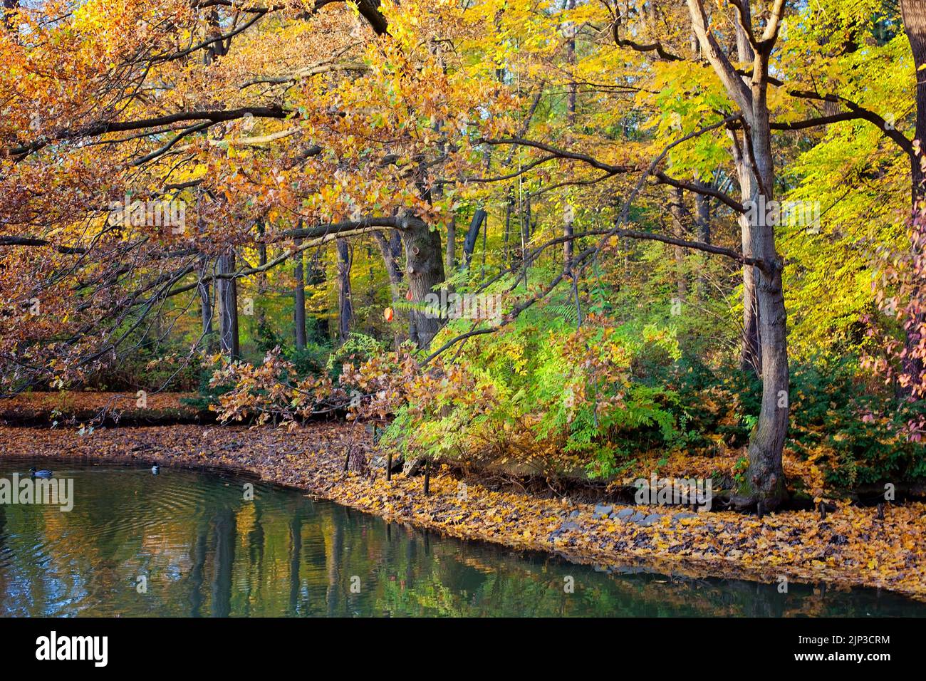 Beautiful autumn landscape Stock Photo - Alamy