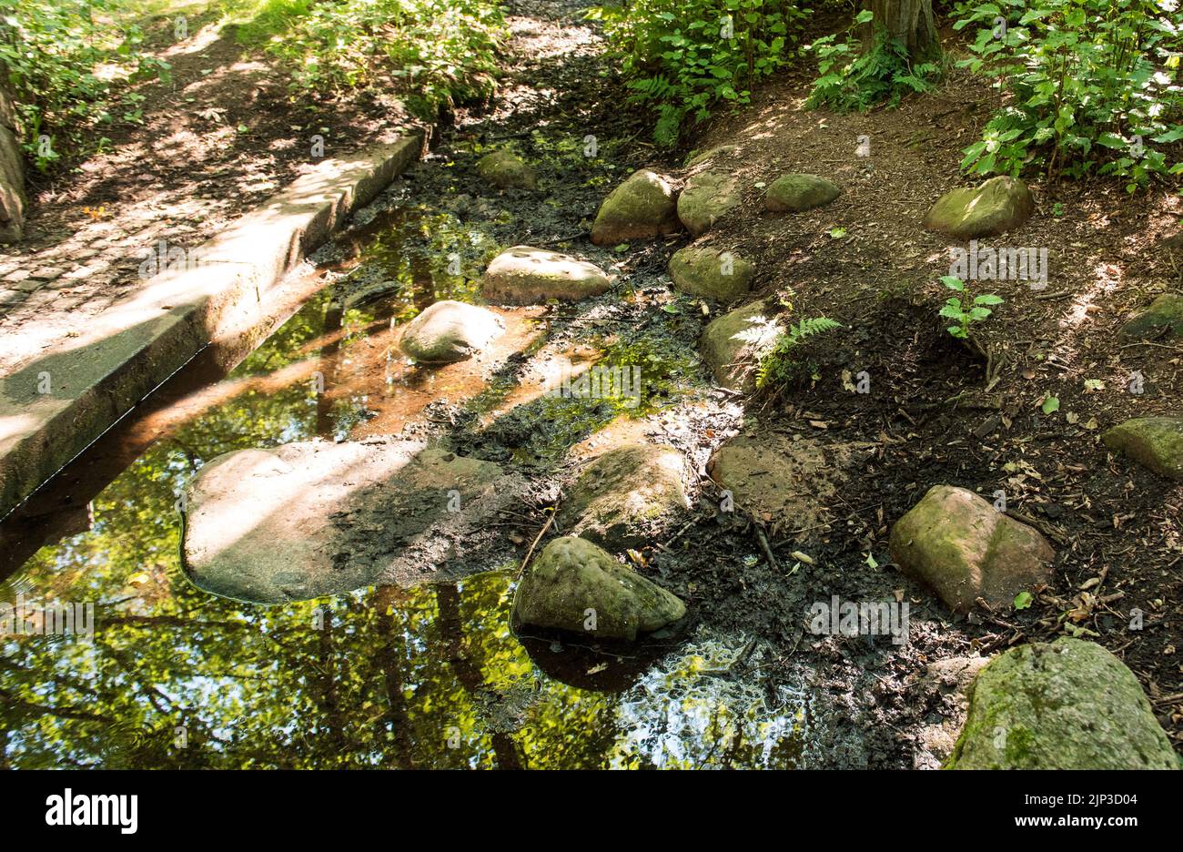 Henstedt Ulzburg, Germany. 15th Aug, 2022. The Alster spring carries ...