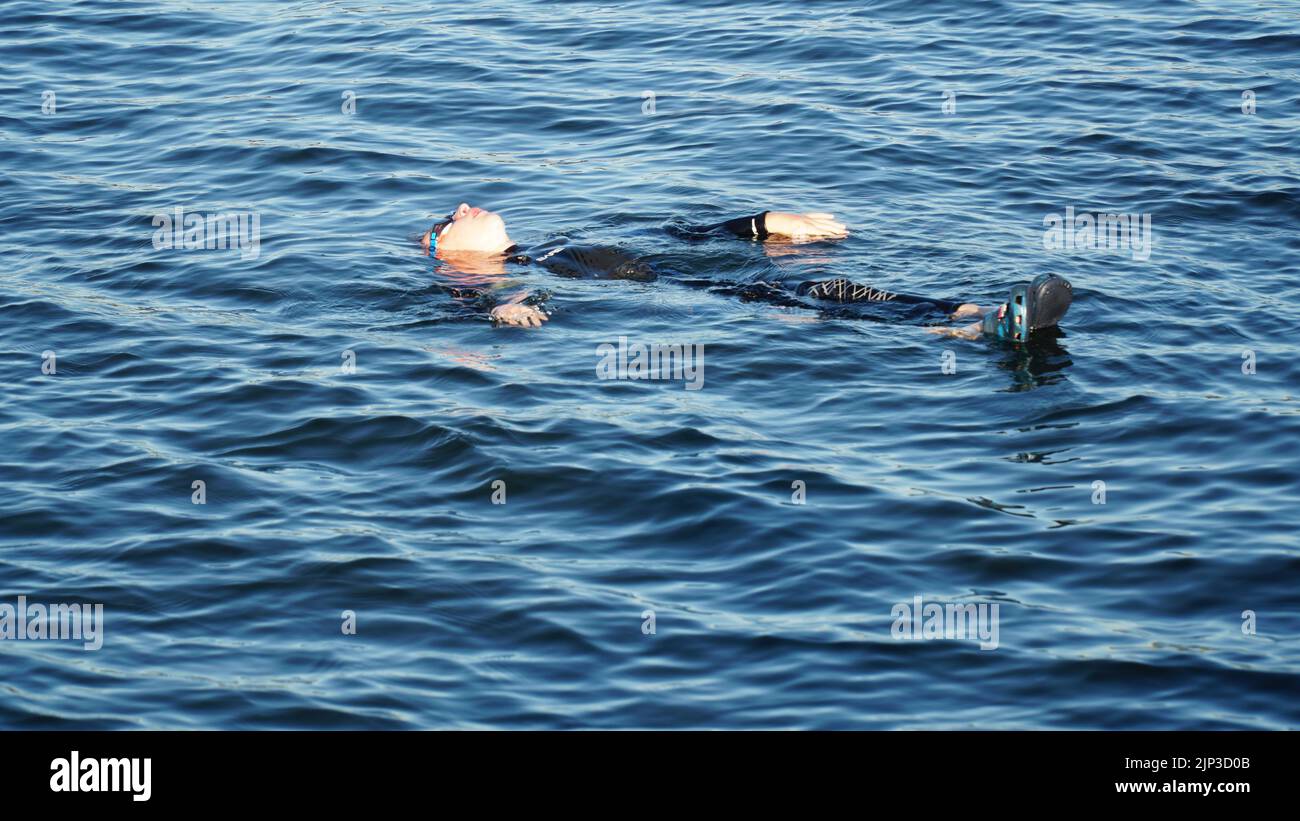 diver floating backside on the sea Stock Photo - Alamy