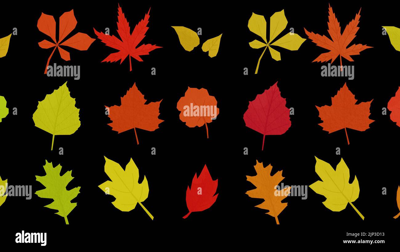 3D rendering. Autumn colored leaves pattern with an isolated black ...