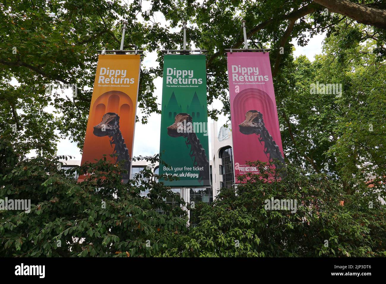 Dippy is back till 2 January 2023 .Dippy was the first Diplodocus (DIP-low-DOCK-us) to go on ...