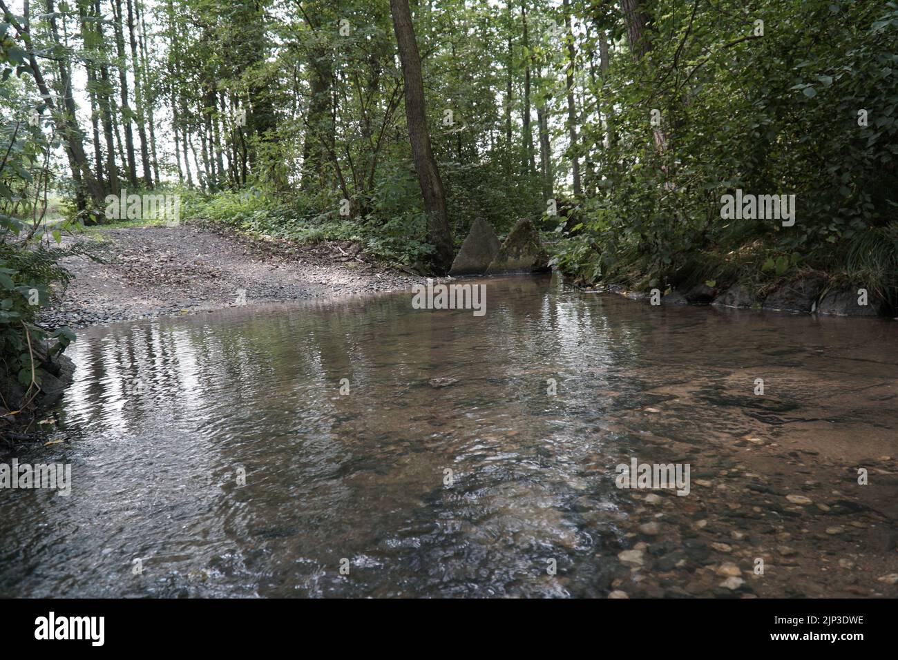 river crossing furth in forest Stock Photo - Alamy