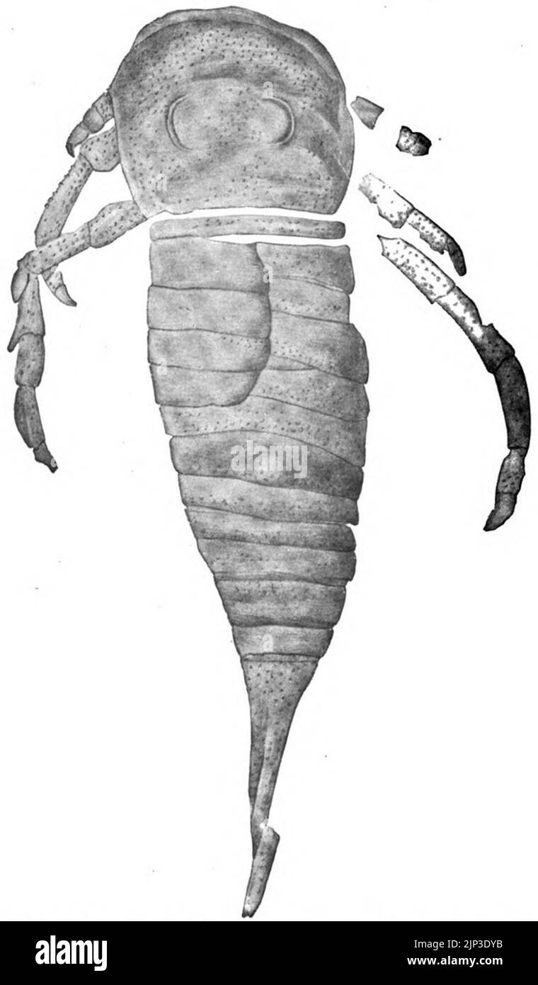 Figure 69 Cut Out Stock Images & Pictures - Alamy