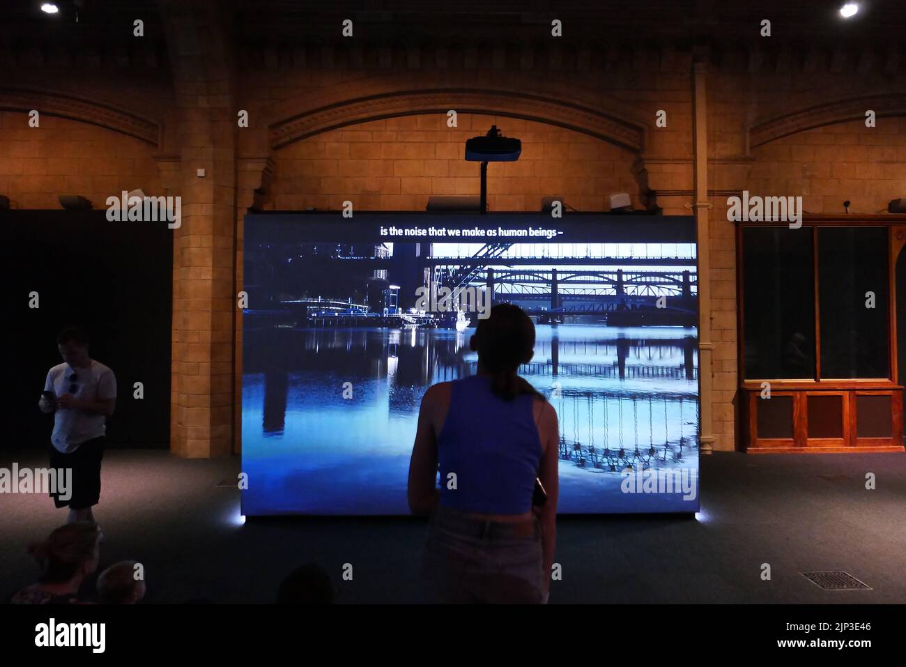 Dippy is back till 2 January 2023 .Dippy was the first Diplodocus (DIP-low-DOCK-us) to go on ...