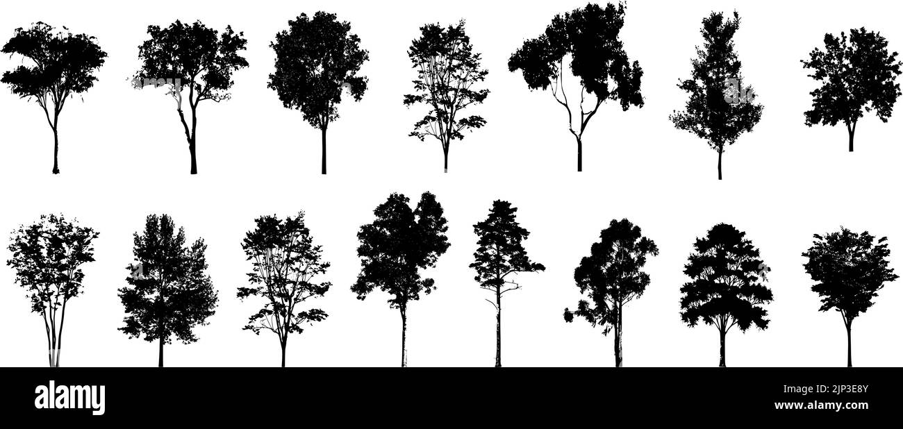 A vector illustration of pine tree silhouettes Stock Vector Image & Art ...