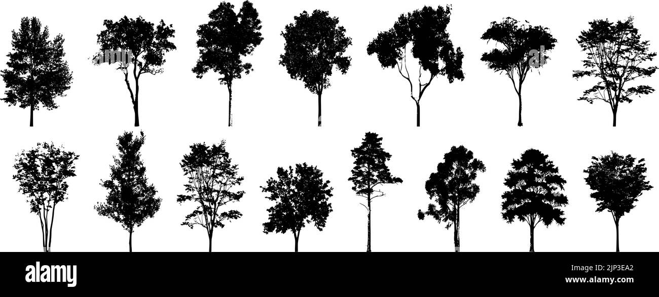 A vector illustration of pine tree silhouettes Stock Vector Image & Art ...