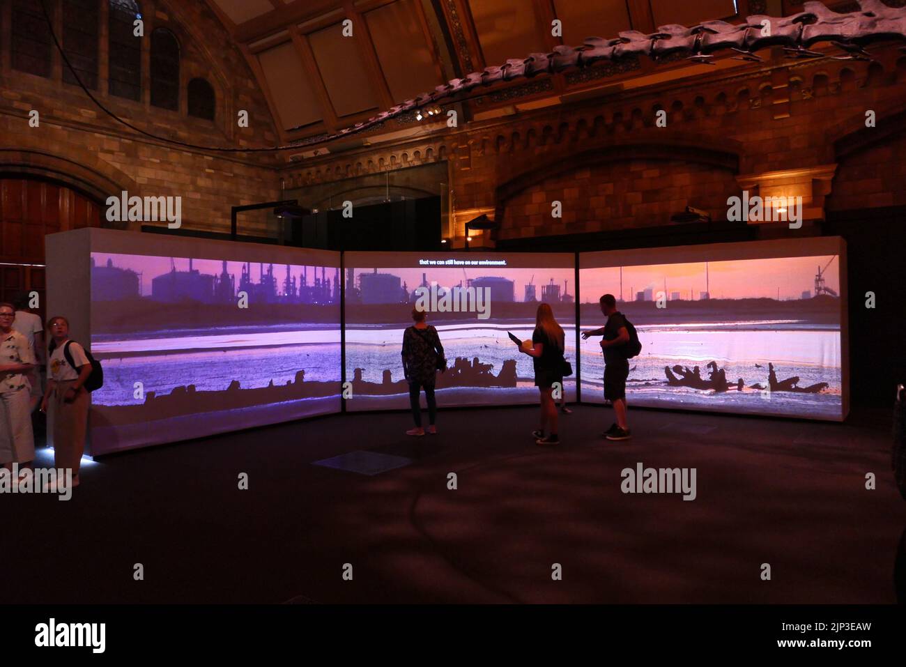 Dippy is back till 2 January 2023 .Dippy was the first Diplodocus (DIP-low-DOCK-us) to go on ...