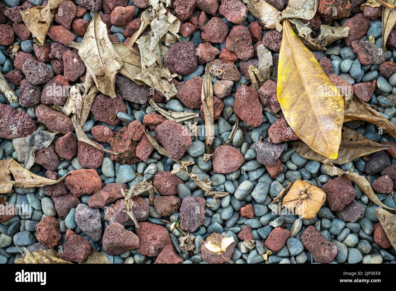 Rocks and leaves, earthy textures and backgrounds . Horizontal Stock ...