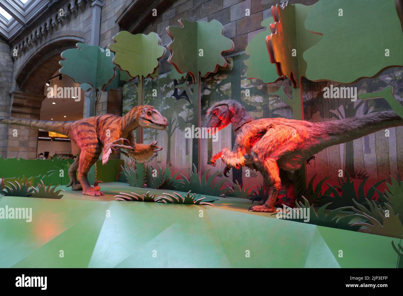 Dippy is back till 2 January 2023 .Dippy was the first Diplodocus (DIP-low-DOCK-us) to go on ...