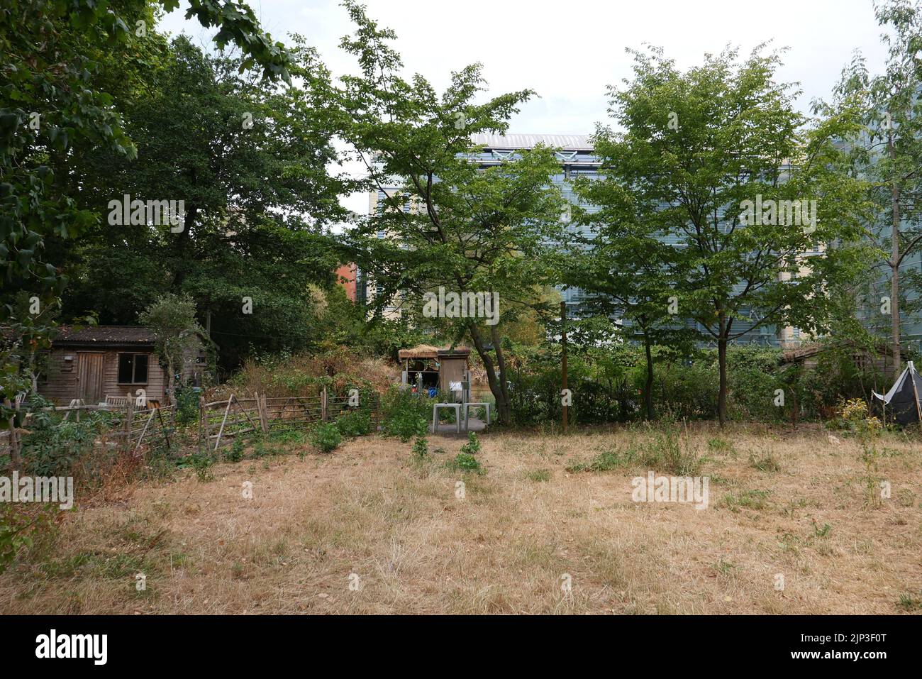 Dippy is back till 2 January 2023 .Dippy was the first Diplodocus (DIP-low-DOCK-us) to go on ...