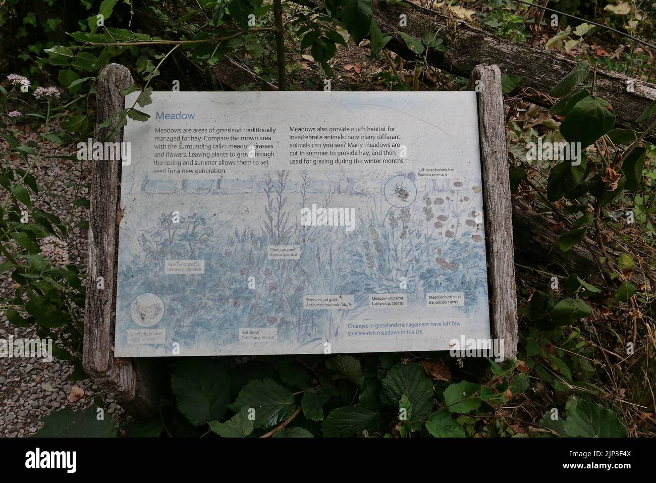 Dippy is back till 2 January 2023 .Dippy was the first Diplodocus (DIP-low-DOCK-us) to go on ...