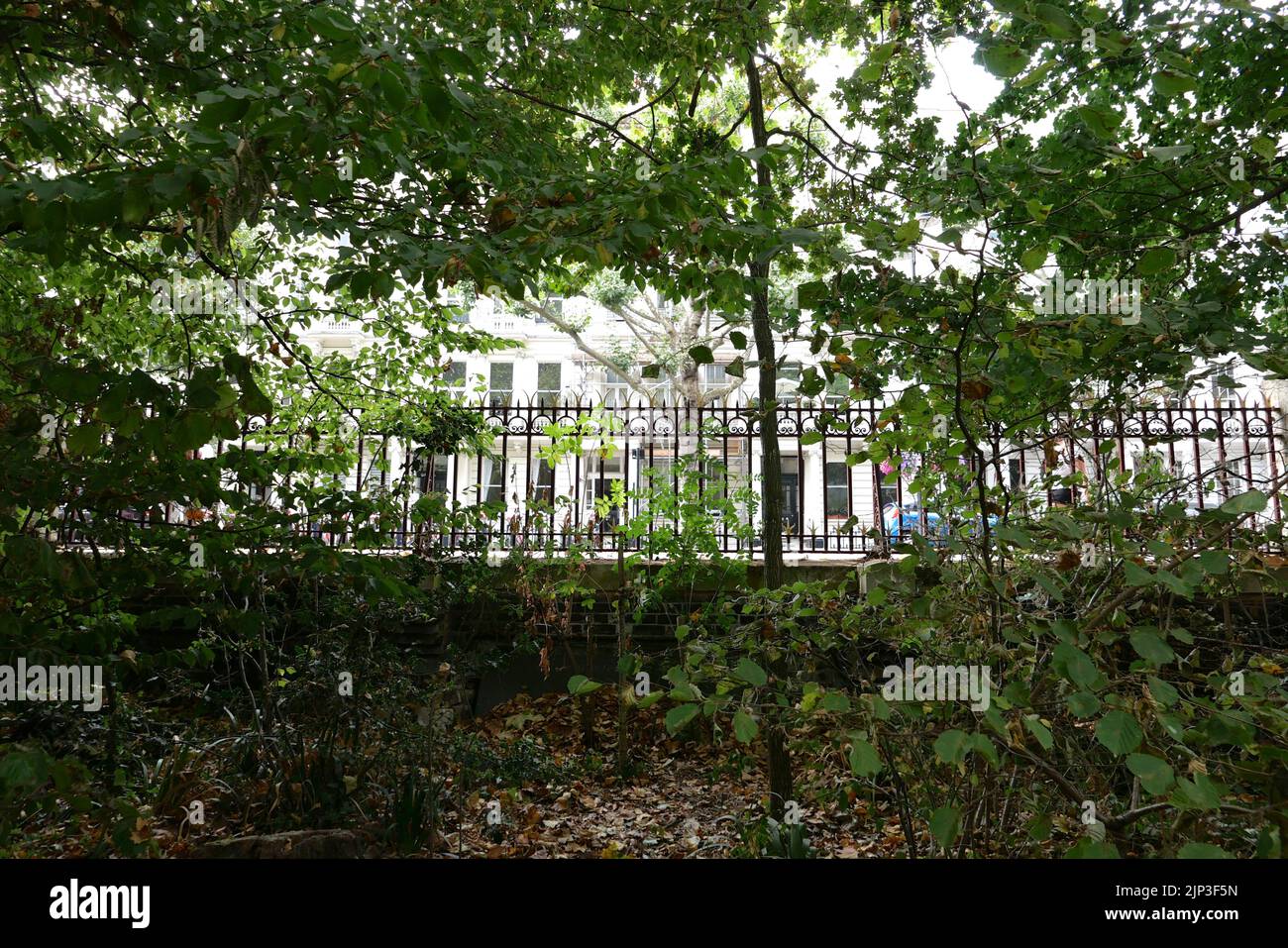 Dippy is back till 2 January 2023 .Dippy was the first Diplodocus (DIP-low-DOCK-us) to go on ...