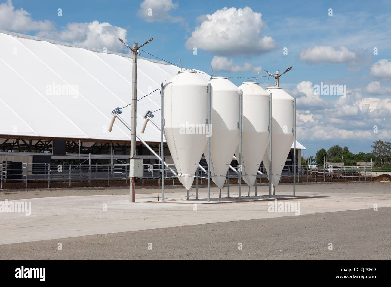 loading place for feed for livestock on a modern dairy farm Stock Photo ...