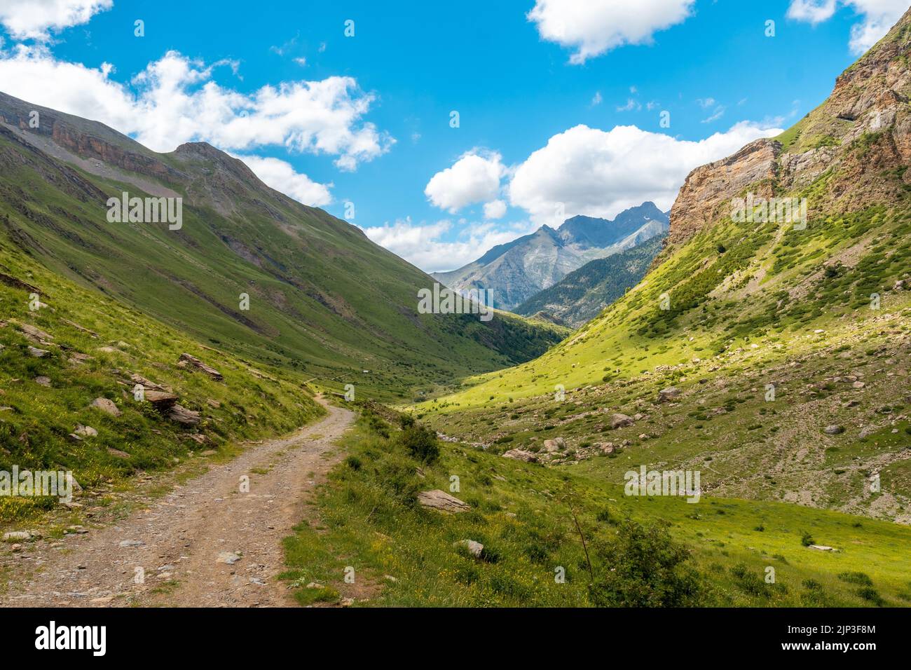The mountain path in the valley in summer Stock Photo - Alamy