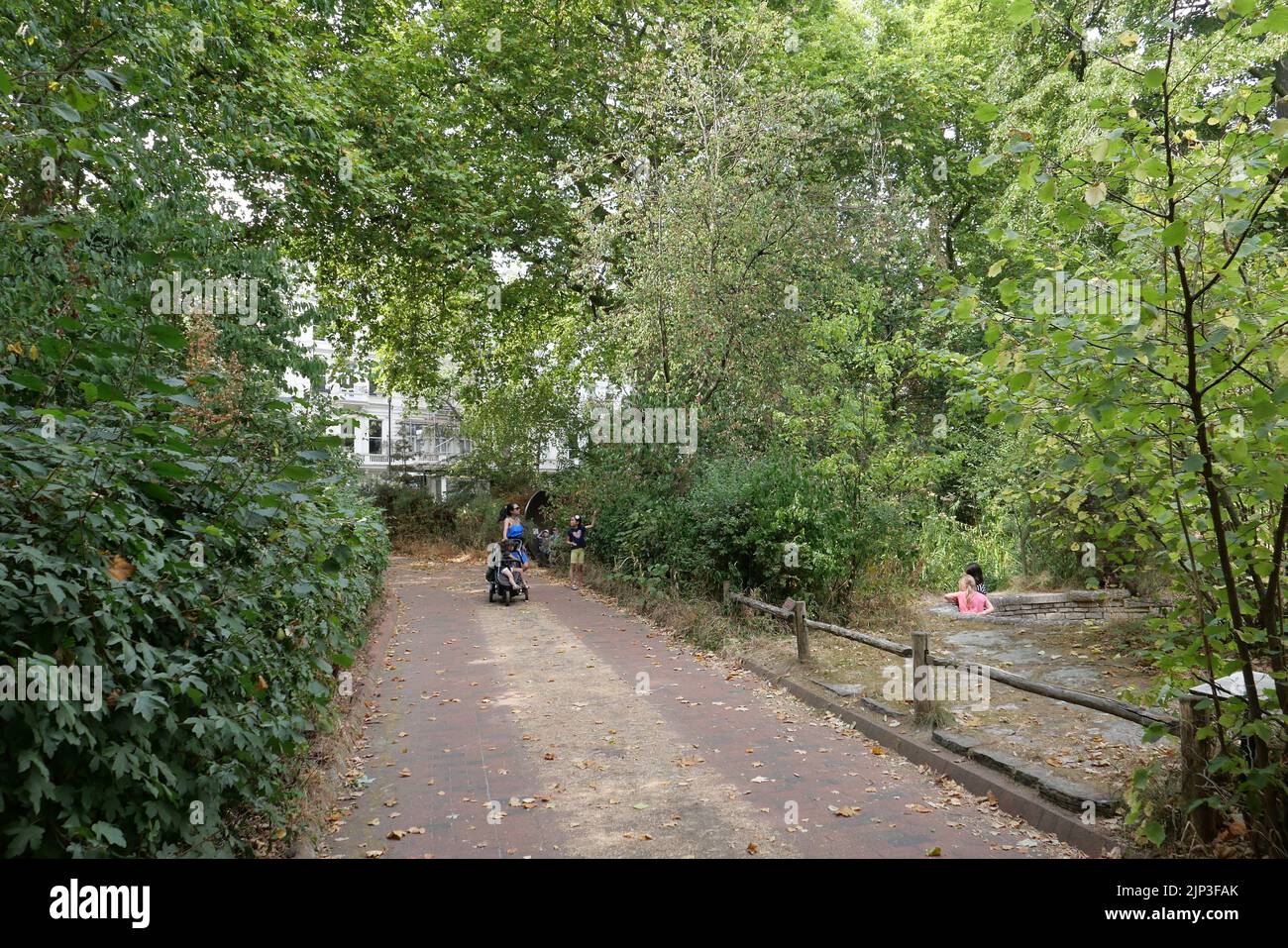 Dippy is back till 2 January 2023 .Dippy was the first Diplodocus (DIP-low-DOCK-us) to go on ...
