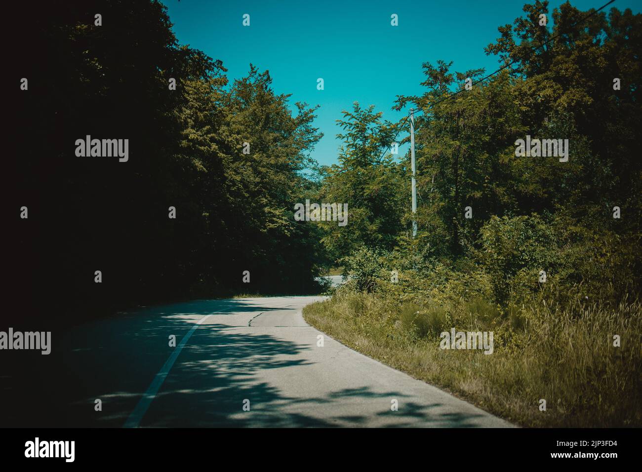 A long highway with trees on each sides Stock Photo - Alamy