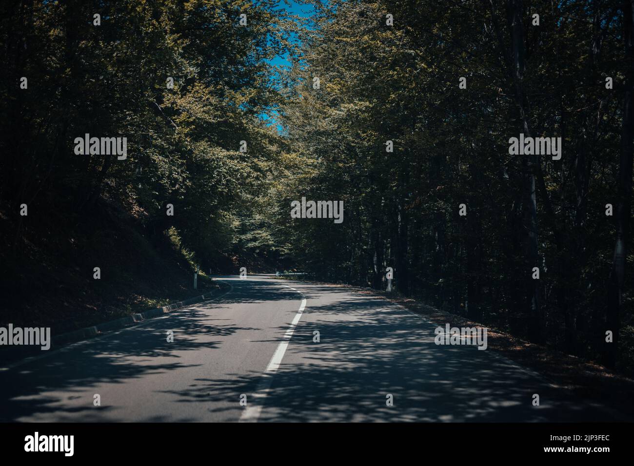 A long highway with trees on each sides Stock Photo - Alamy