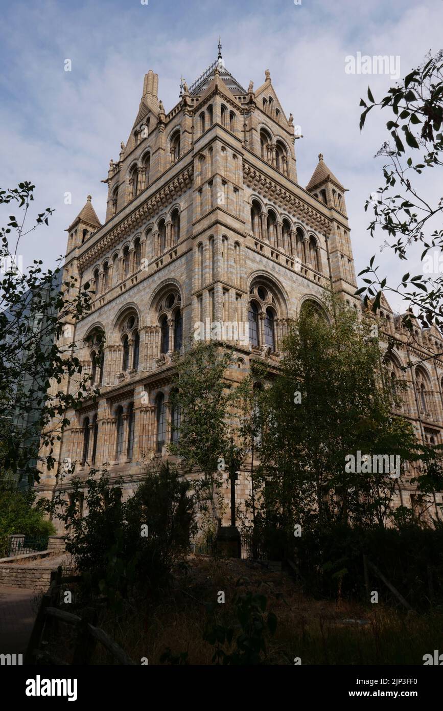 Dippy is back till 2 January 2023 .Dippy was the first Diplodocus (DIP-low-DOCK-us) to go on ...