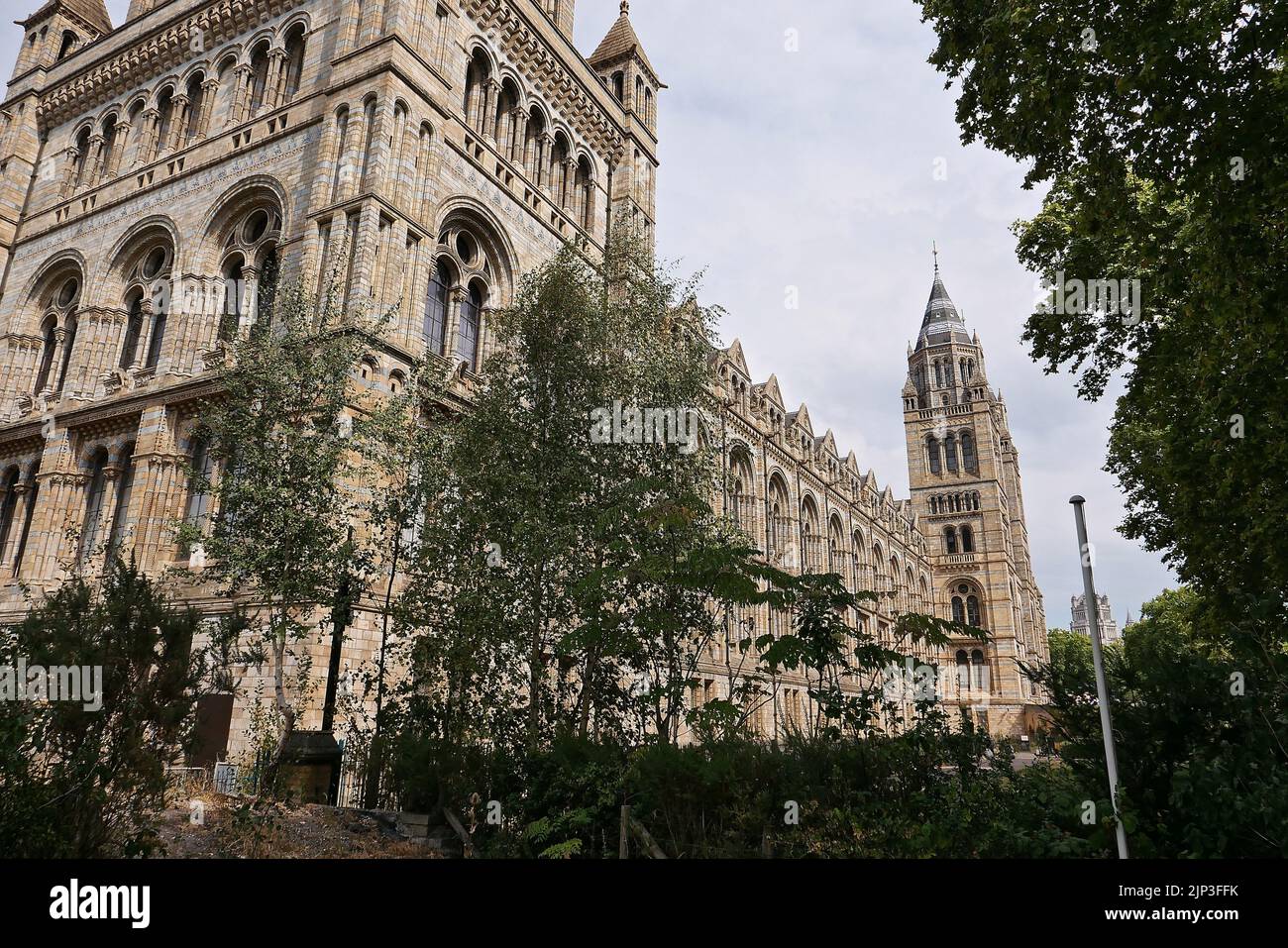 Dippy is back till 2 January 2023 .Dippy was the first Diplodocus (DIP-low-DOCK-us) to go on ...