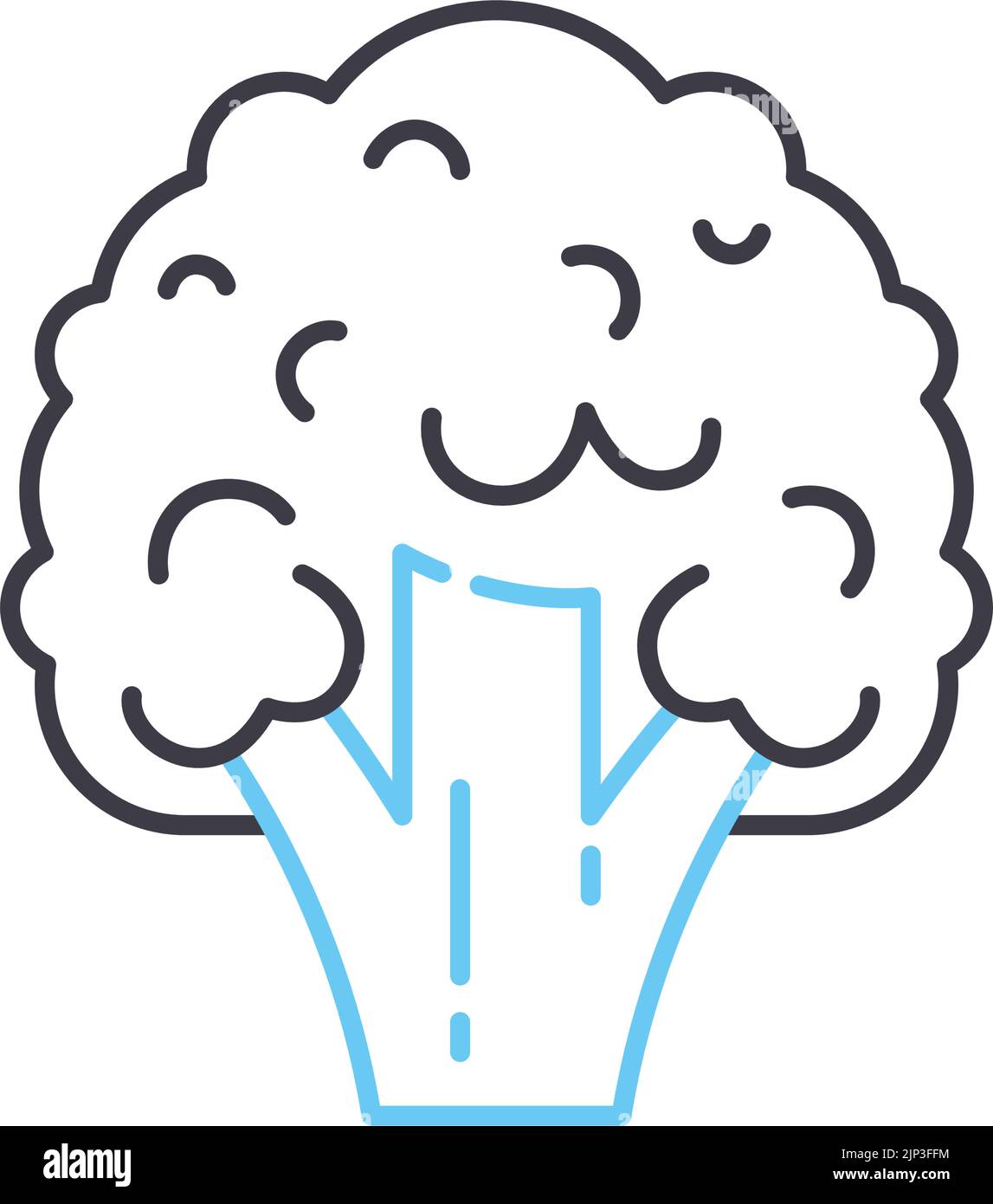 broccoli line icon, outline symbol, vector illustration, concept sign ...