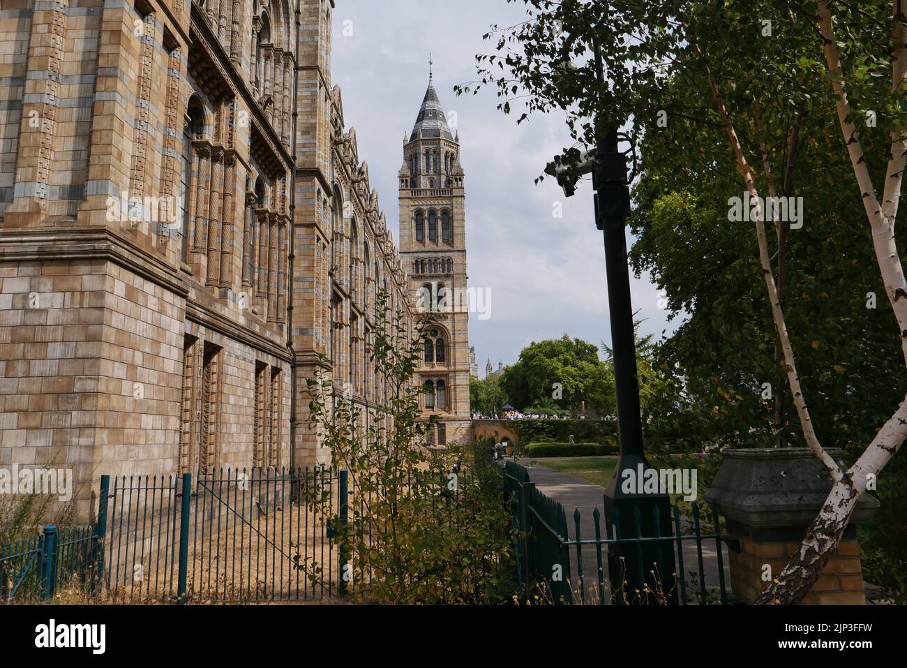 Dippy is back till 2 January 2023 .Dippy was the first Diplodocus (DIP-low-DOCK-us) to go on ...