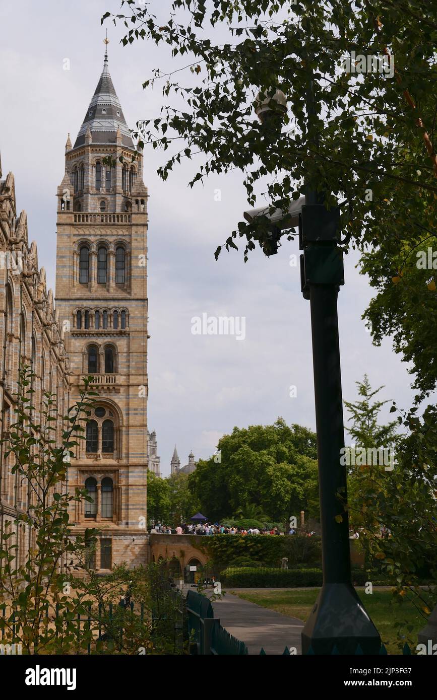 Dippy is back till 2 January 2023 .Dippy was the first Diplodocus (DIP-low-DOCK-us) to go on ...