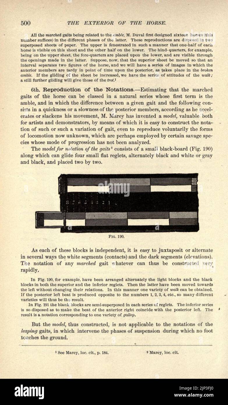 The exterior of the horse (Page 500 Stock Photo - Alamy