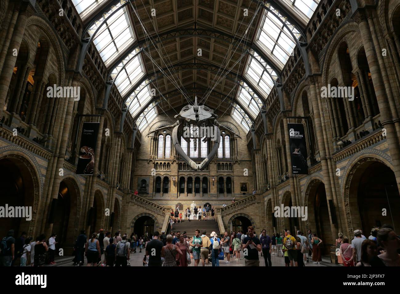 Dippy is back till 2 January 2023 .Dippy was the first Diplodocus (DIP-low-DOCK-us) to go on ...