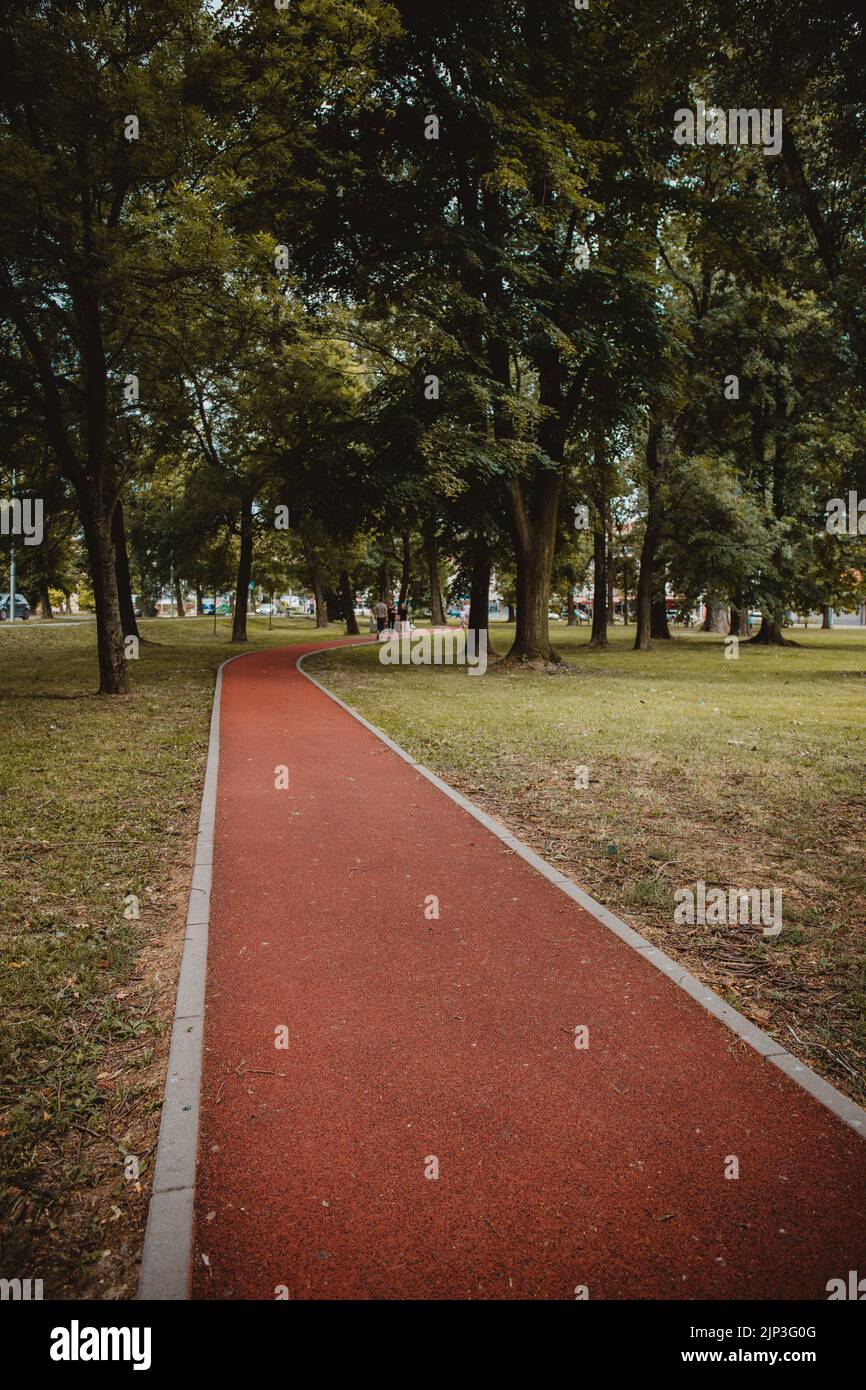 Beautiful garden with a narrow walking path lush green trees in the ...