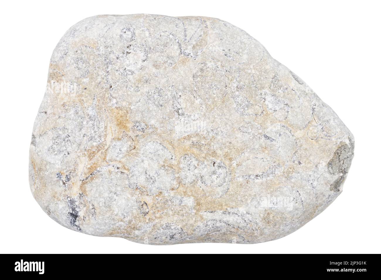 Top view of single gray pebble isolated on white background Stock Photo ...