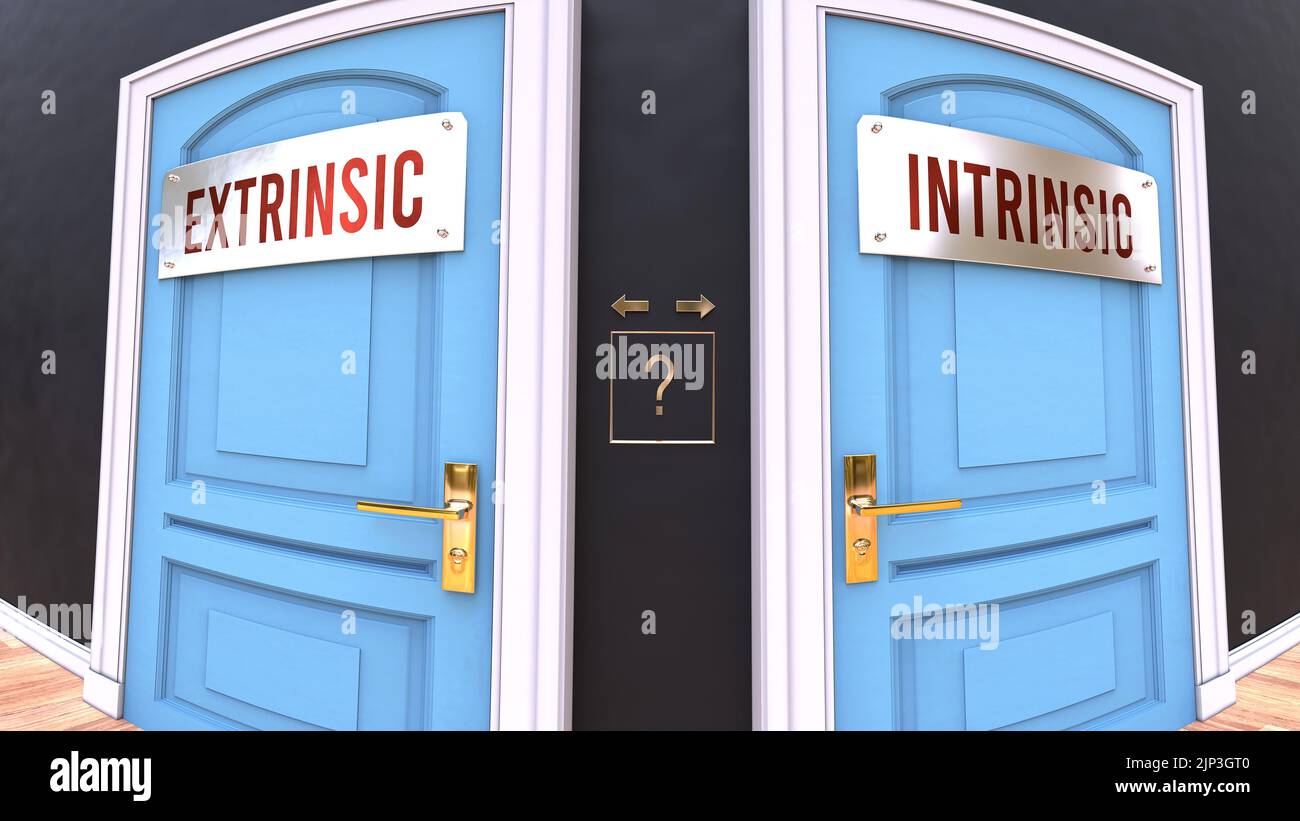 Extrinsic or Intrinsic - a choice. Two options to choose from ...