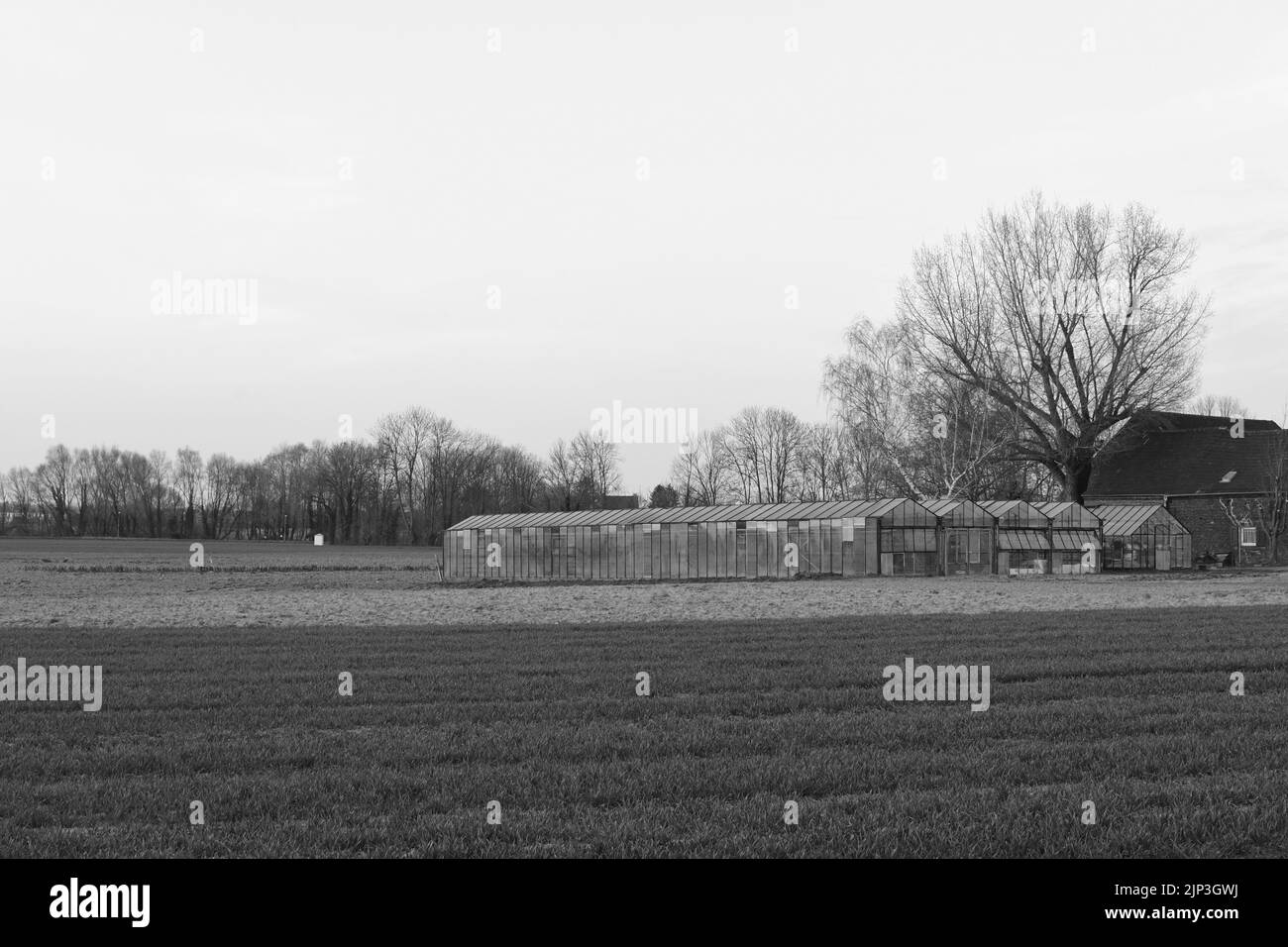 Nature in meerbusch hi-res stock photography and images - Alamy