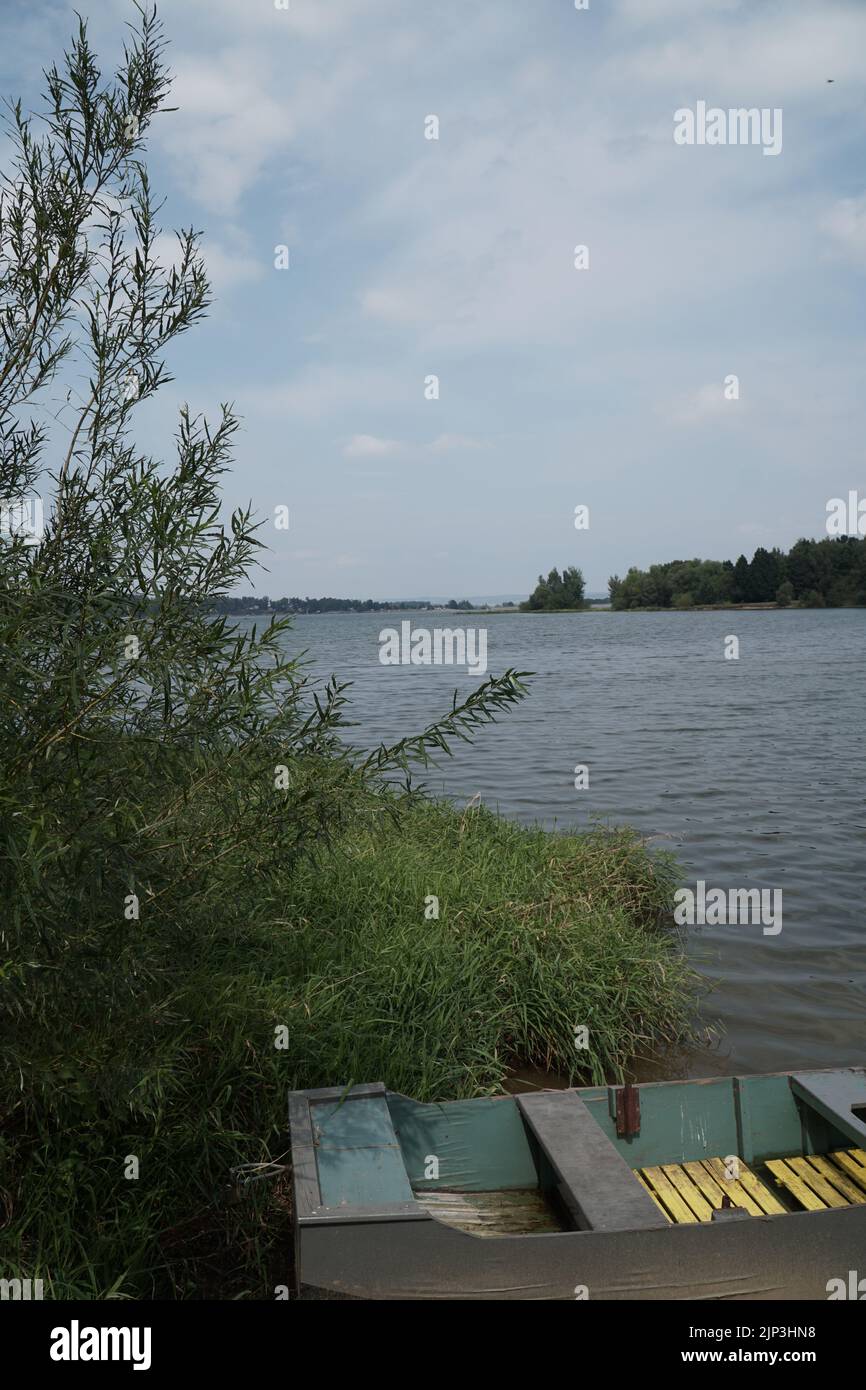 shore of a lake gras Stock Photo - Alamy