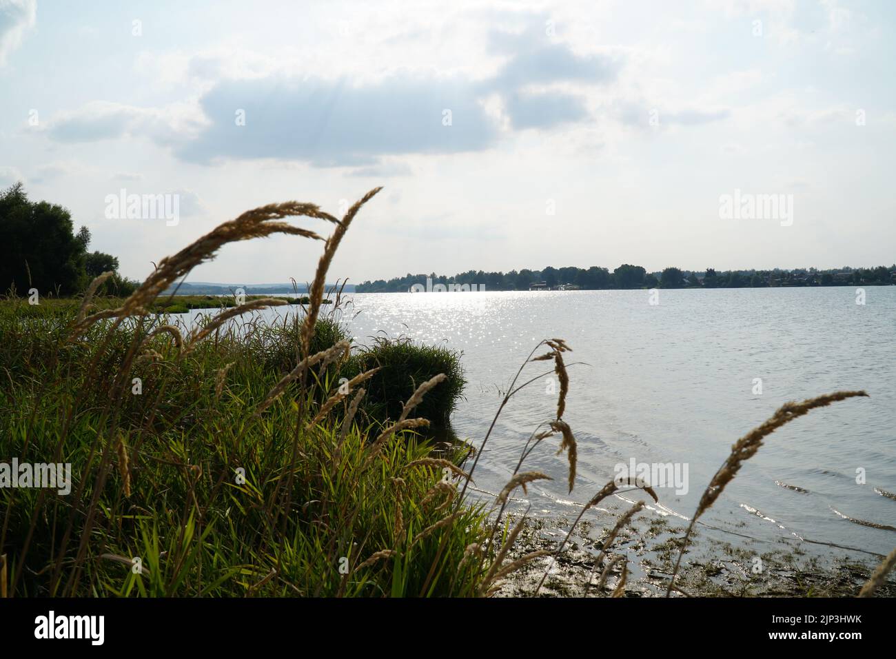 shore of a lake gras Stock Photo - Alamy