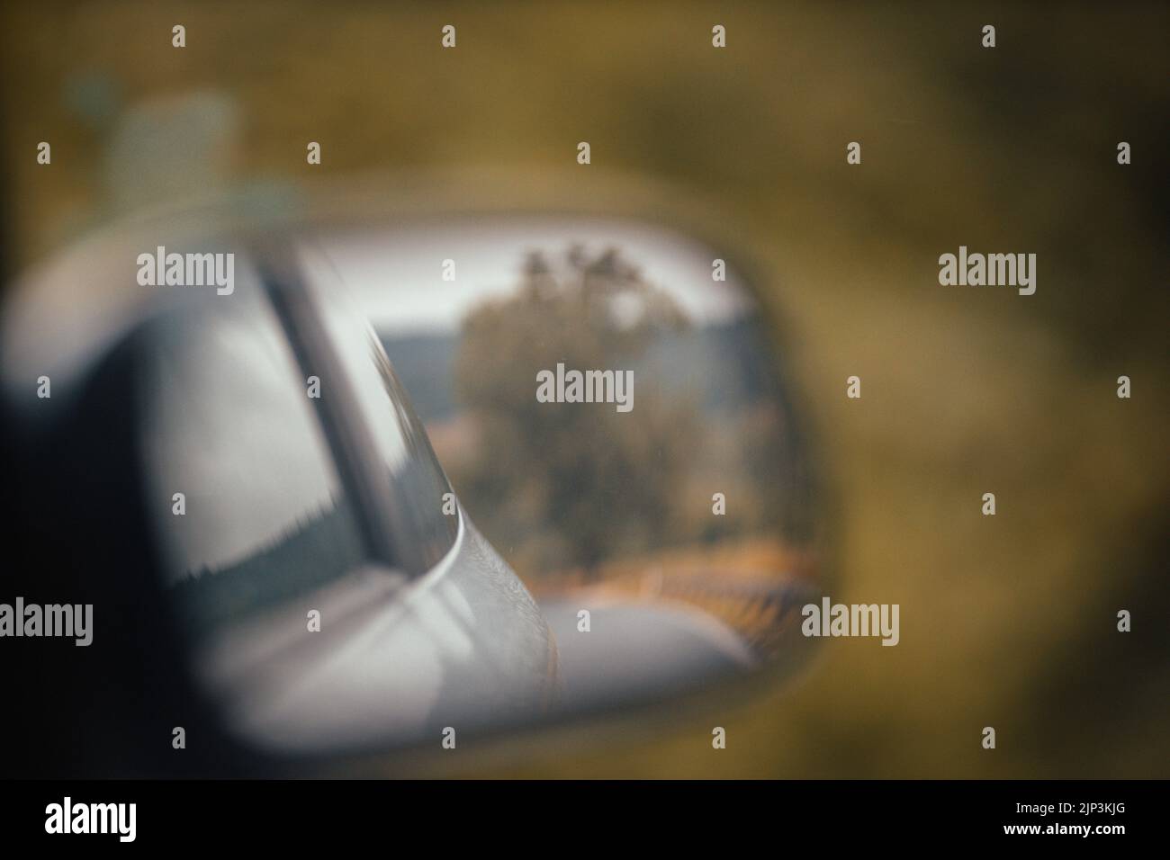 The blur reflection of roadside green tree in the side mirror of a car ...