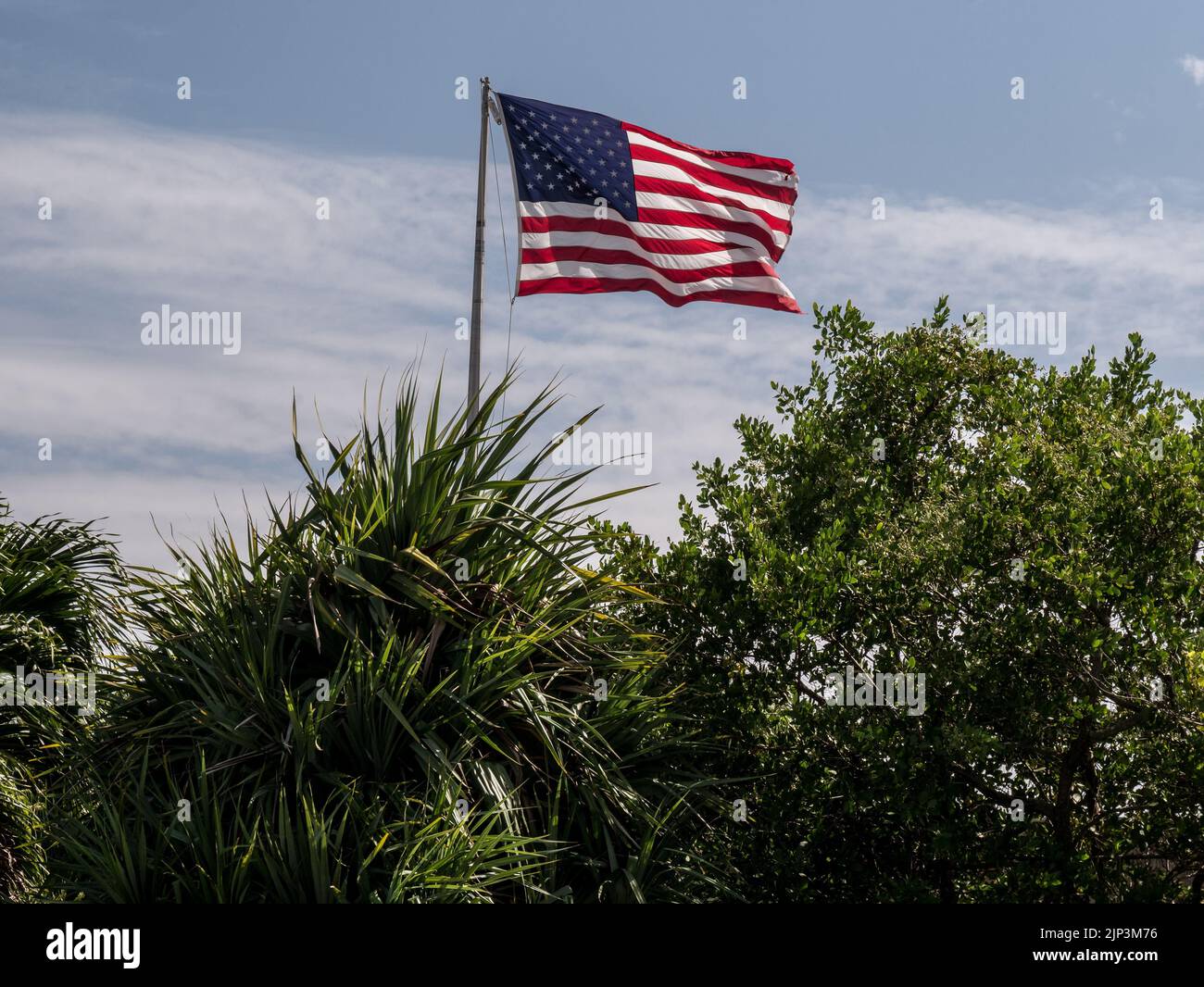 A flag of the USA waving above green trees and palm trees with blue ...