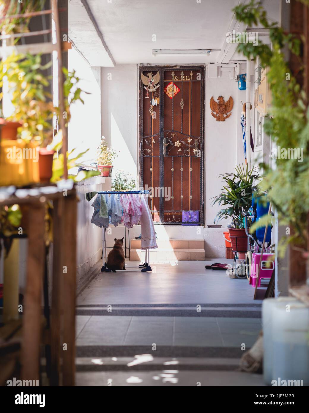 A vertical shot of a stuffed corridor of a Singapore house Stock Photo ...
